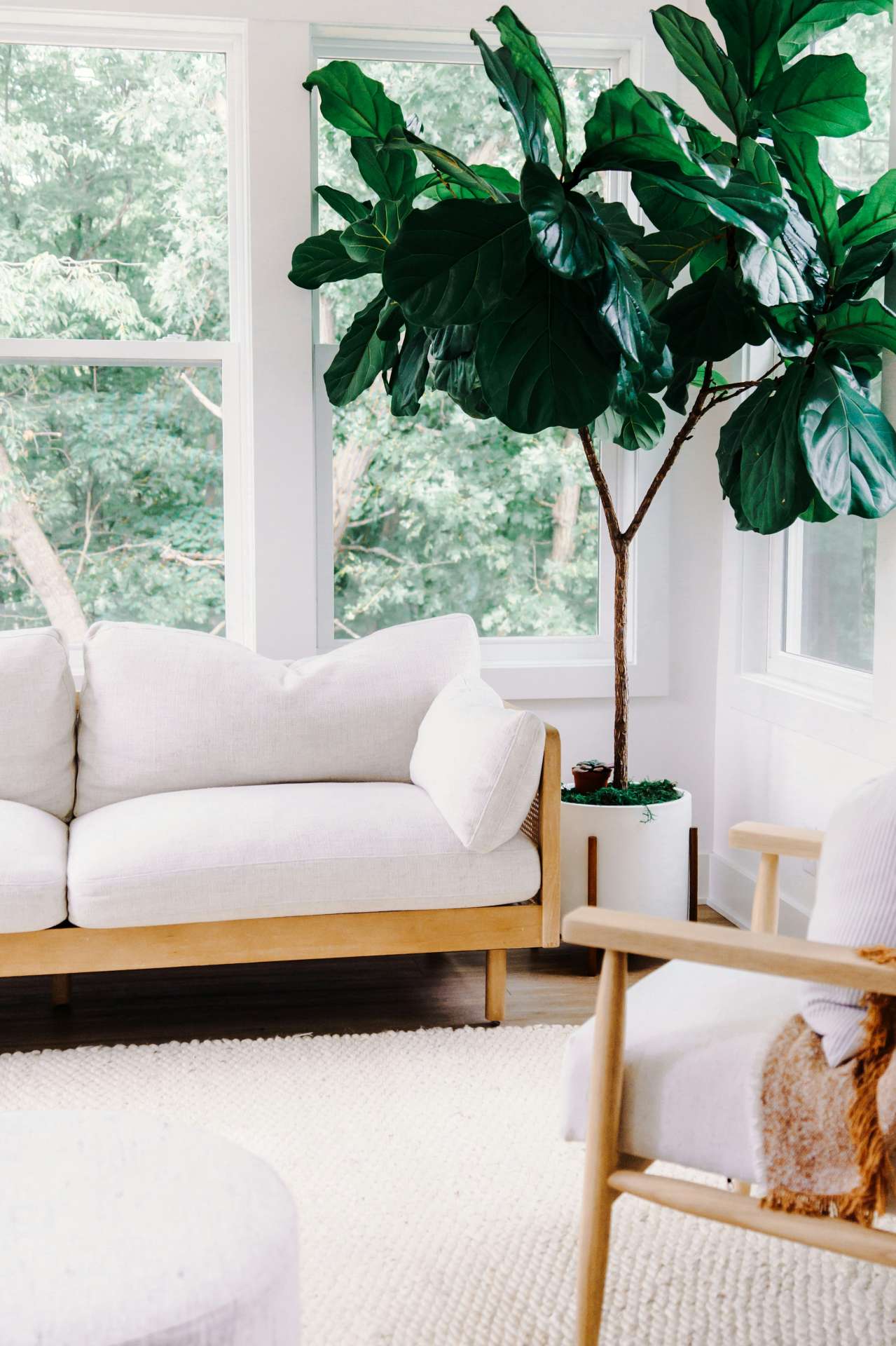 A Cluster Headache-Friendly Home | Home House Design